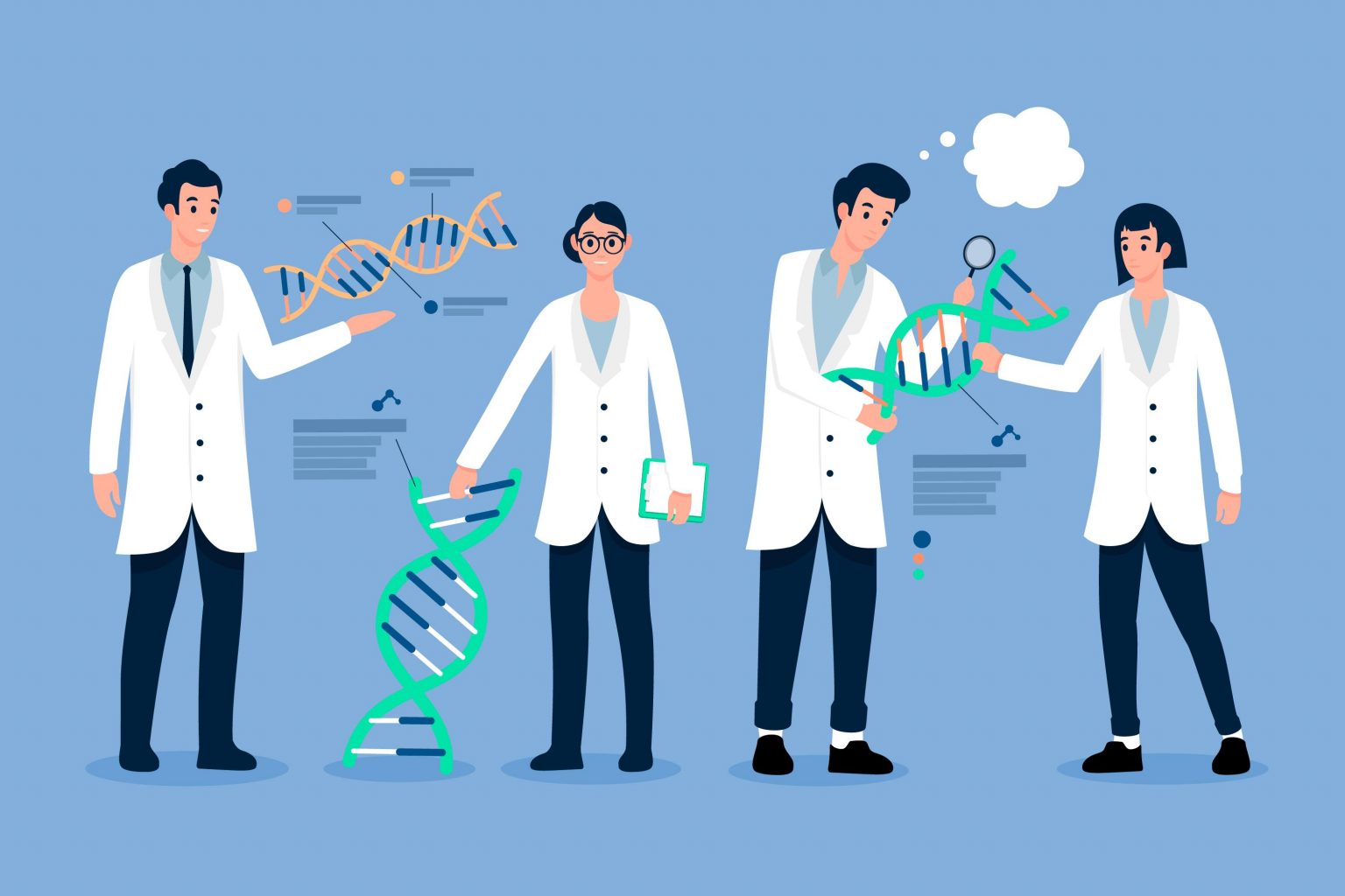 🧬¿Qué Es El Genoma Humano? ¿Qué Es La Organización Del Genoma Humano?