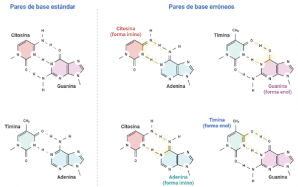 ¿Qué Deberíamos Saber De Las Mutaciones Y Los Mutágenos? Riesgos Y ...