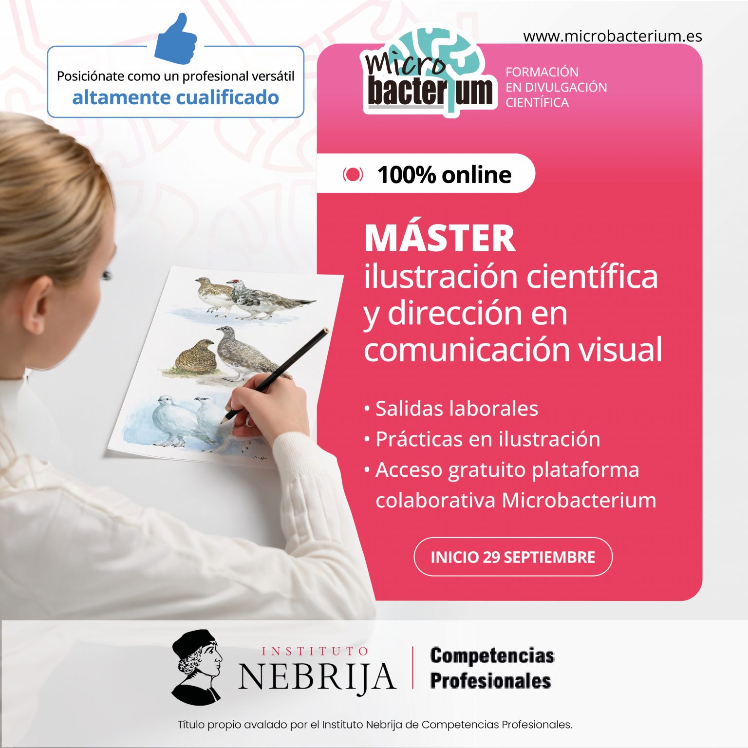 Cerebro-ordenador Comparados En La Anatomía Computacional